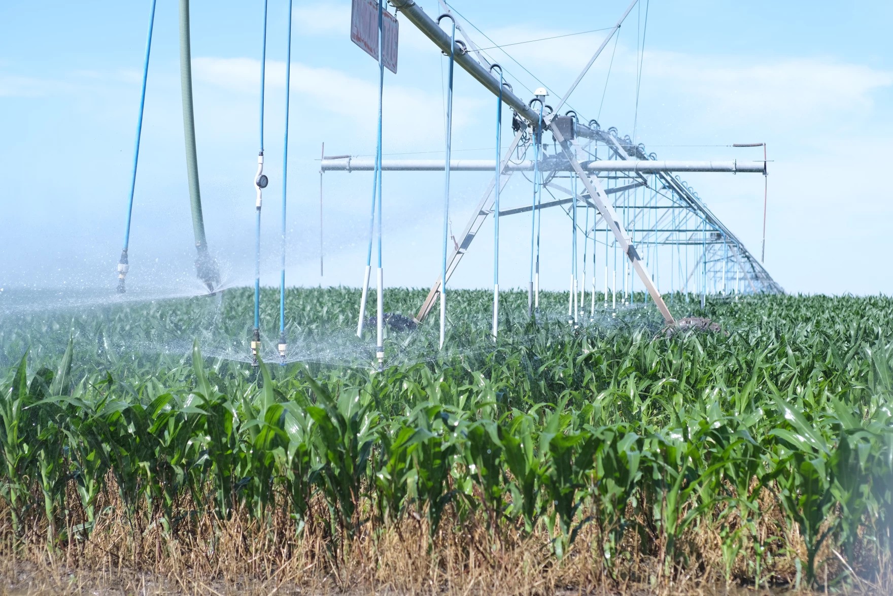 Western Kansas data center project might use less water than farming ...